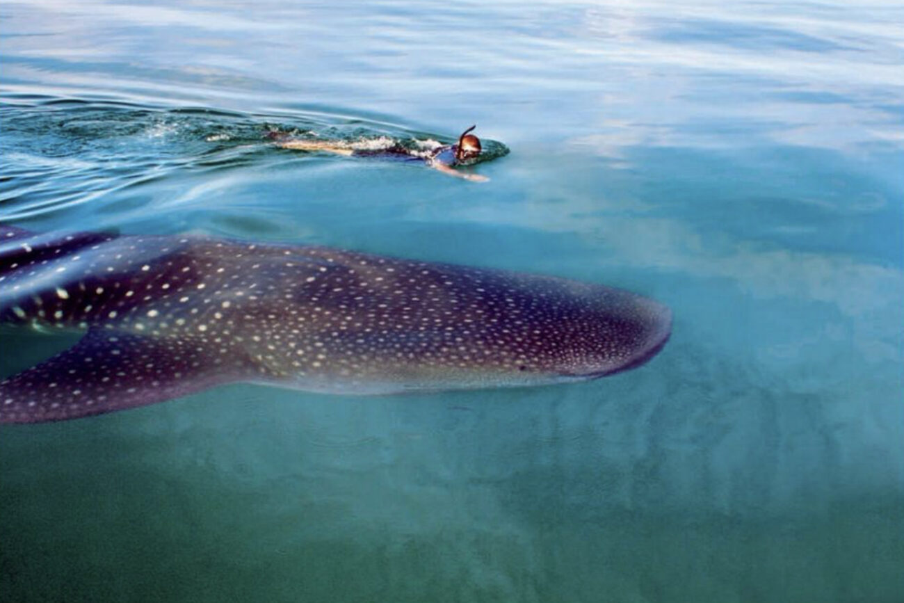 Isla Mujeres: A little Eden to discover - LUXE MAGAZINE - Real Estate ...